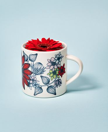 Arabia | Osta kauniit Arabia-astiat verkosta | Iittala