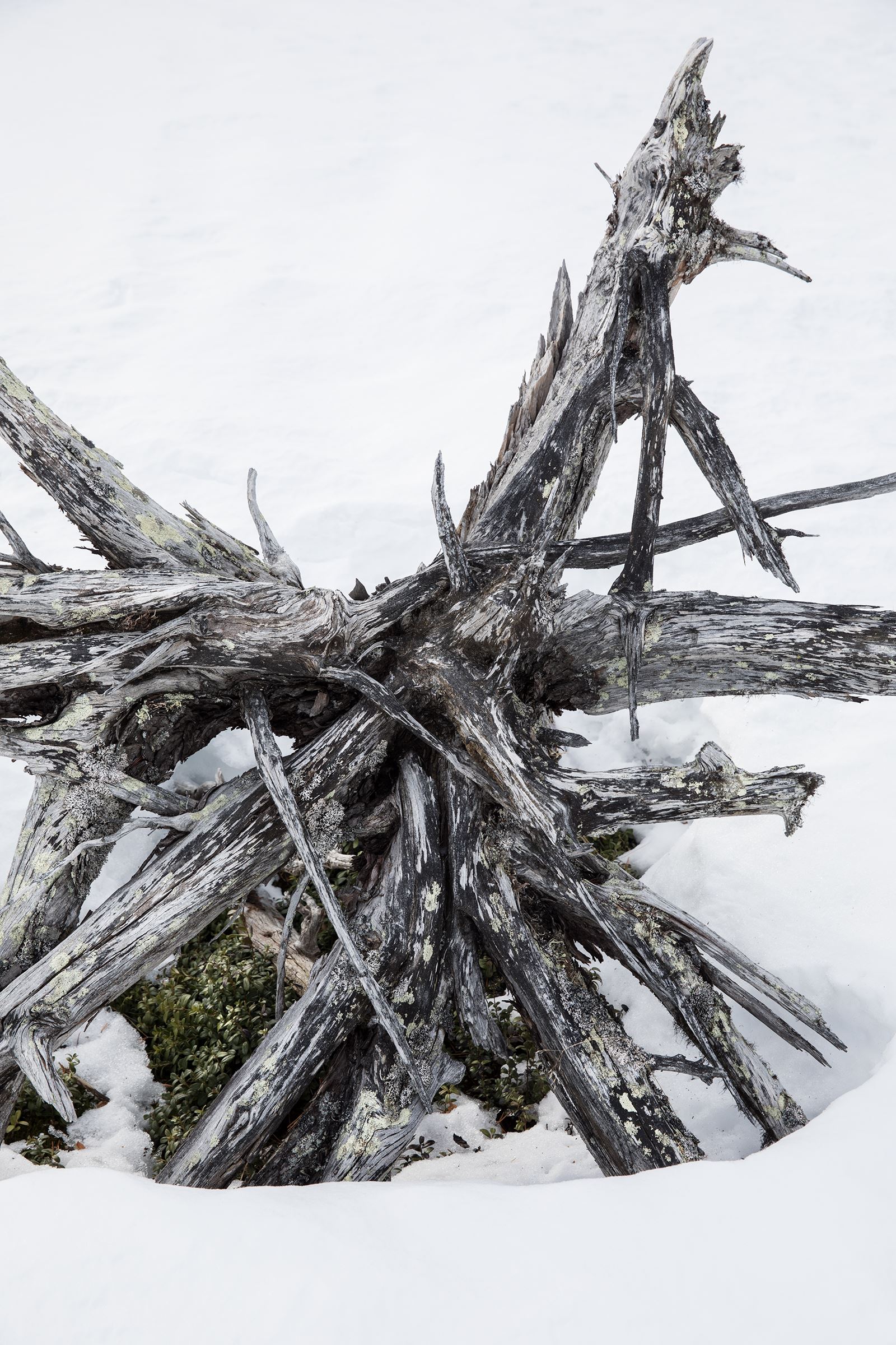 Tracing the spirit of Ultima Thule | Iittala