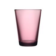 Kartio Juomalasi 40cl Kanerva 2kpl Iittala